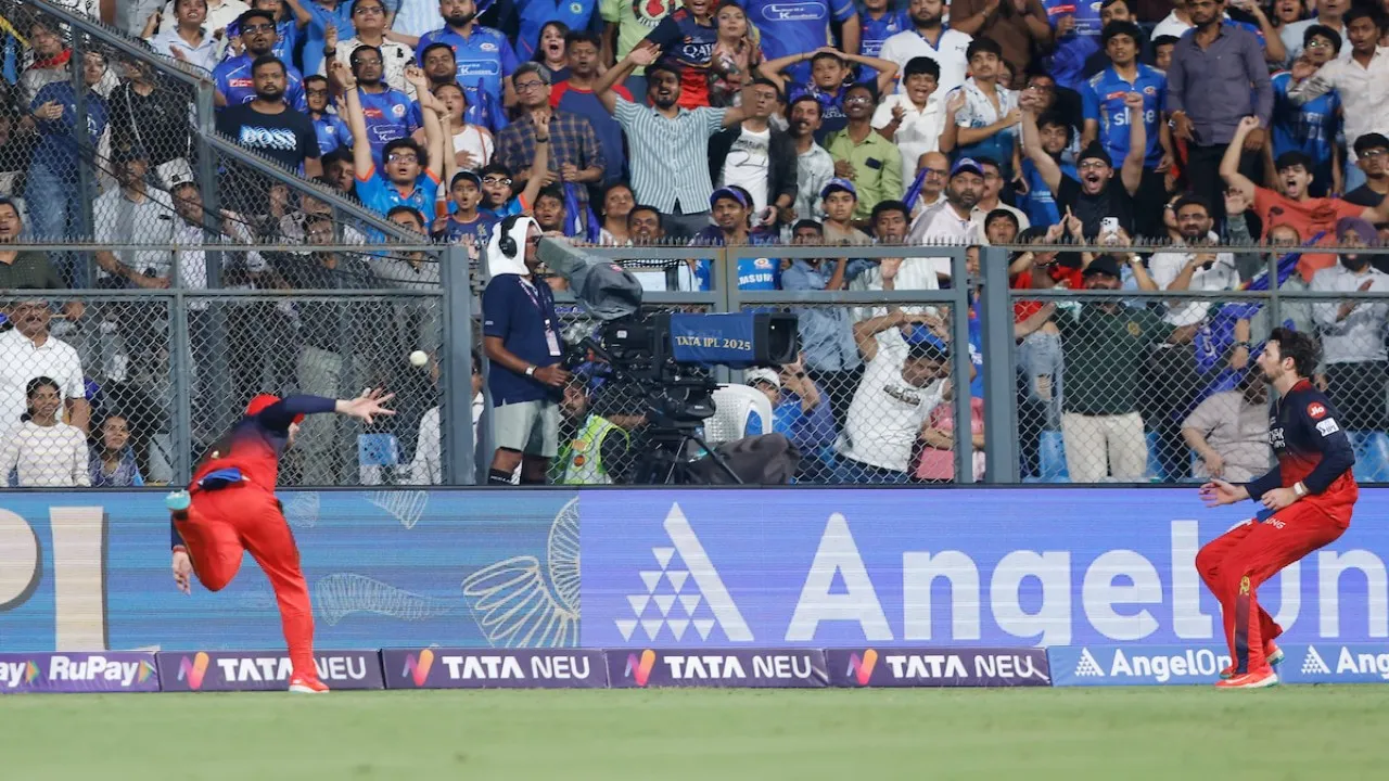 Watch: Phil Salt-Tim David unbelievable catch near the boundary line in MI vs RCB match IPL 2025